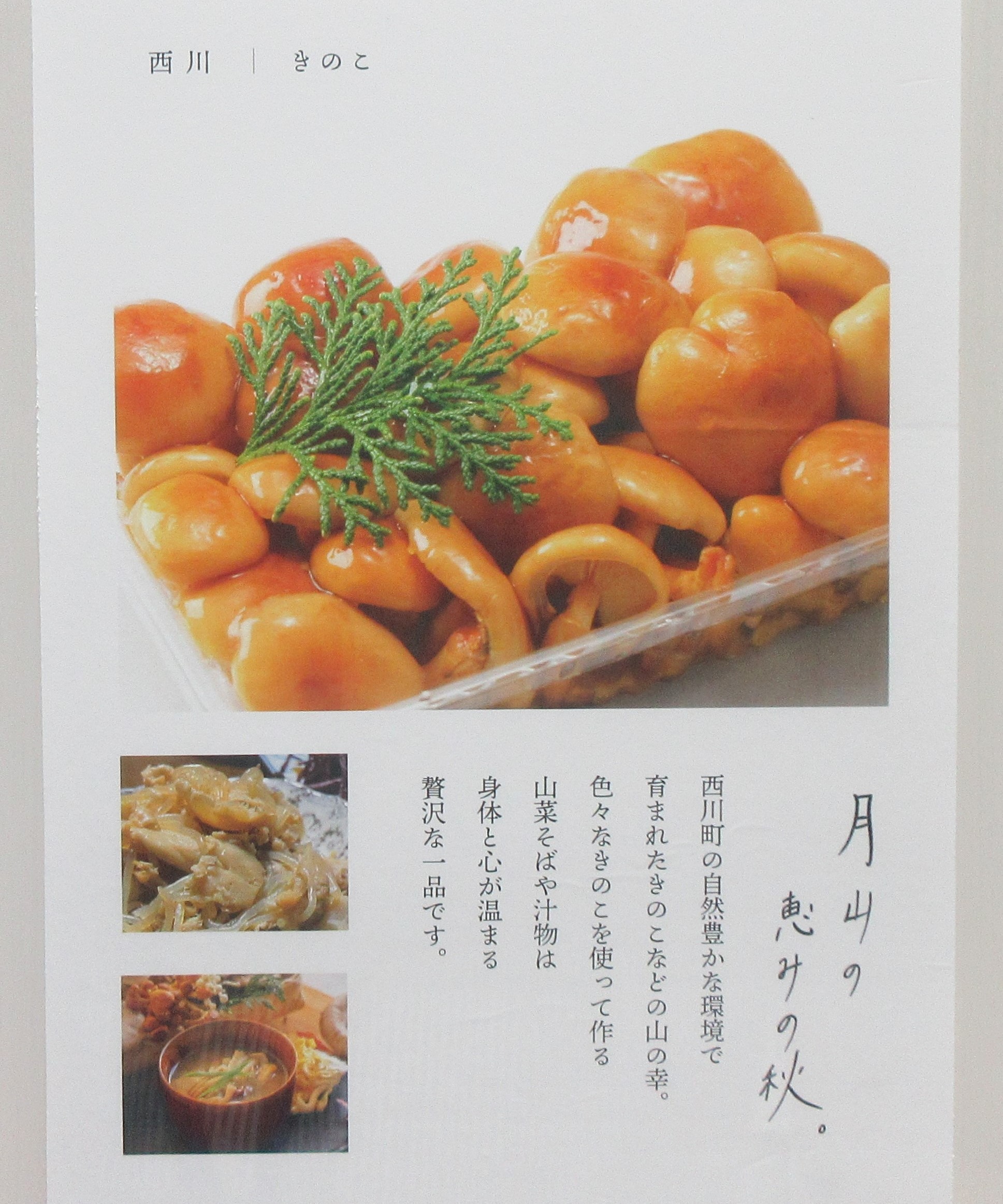 一般財団法人 山形コンベンションビューロー[お知らせ]